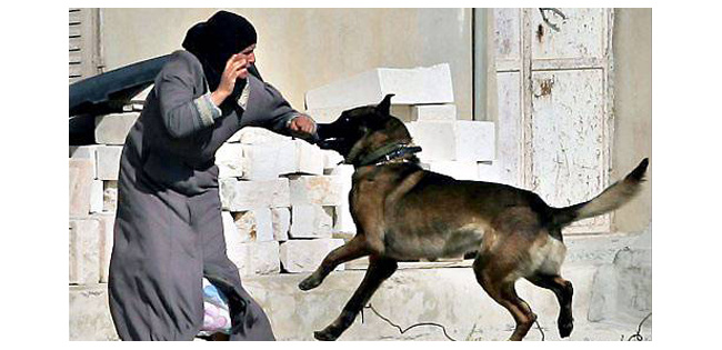 Israeli Soldier Unleashes Army Dog on 47-year-old Woman